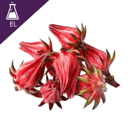 Roselle Extract Liquid - Specialty Natural Products Public Company Limited.