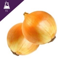 Allium cepa Extract Liquid - Specialty Natural Products Public Company ...