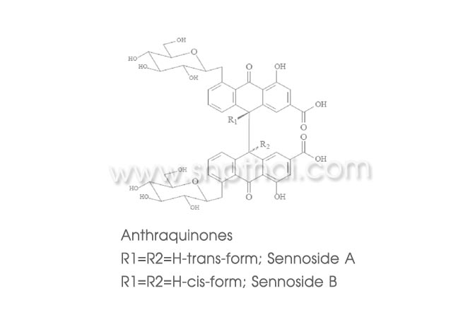 Terminalia Extract Liquid - Specialty Natural Products