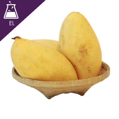 Mango Extract Liquid - Specialty Natural Products Public Company Limited.