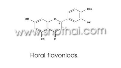 Orchid Extract Liquid - Specialty Natural Products Public Company Limited.