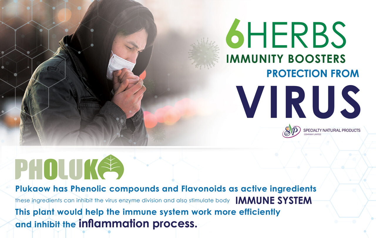 Plu kaow Improve Immune system and Antivirus - Specialty Natural ...
