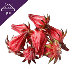 Roselle Extract Powder (กระเจี๊ยบแดง) - Specialty Natural Products ...